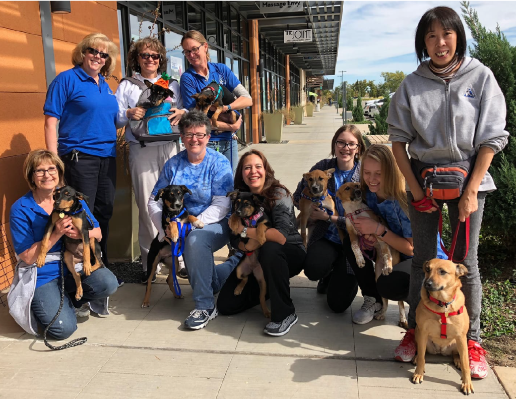 Richardson Humane Society – One Pet at a TIme